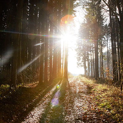 'Cedar fever' makes Texas one of the worst places for allergies ...